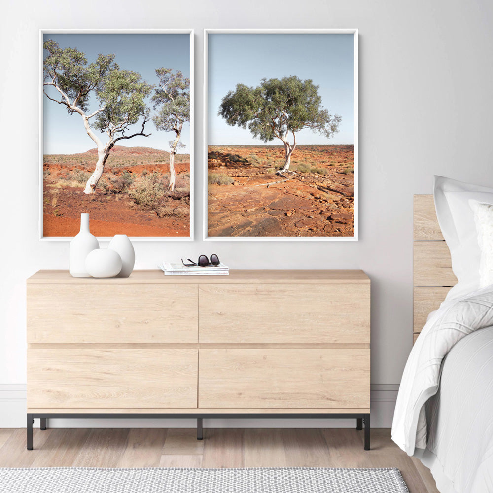 Australian Eucalyptus Tree & Gumtree Prints | Print and Proper – Print ...