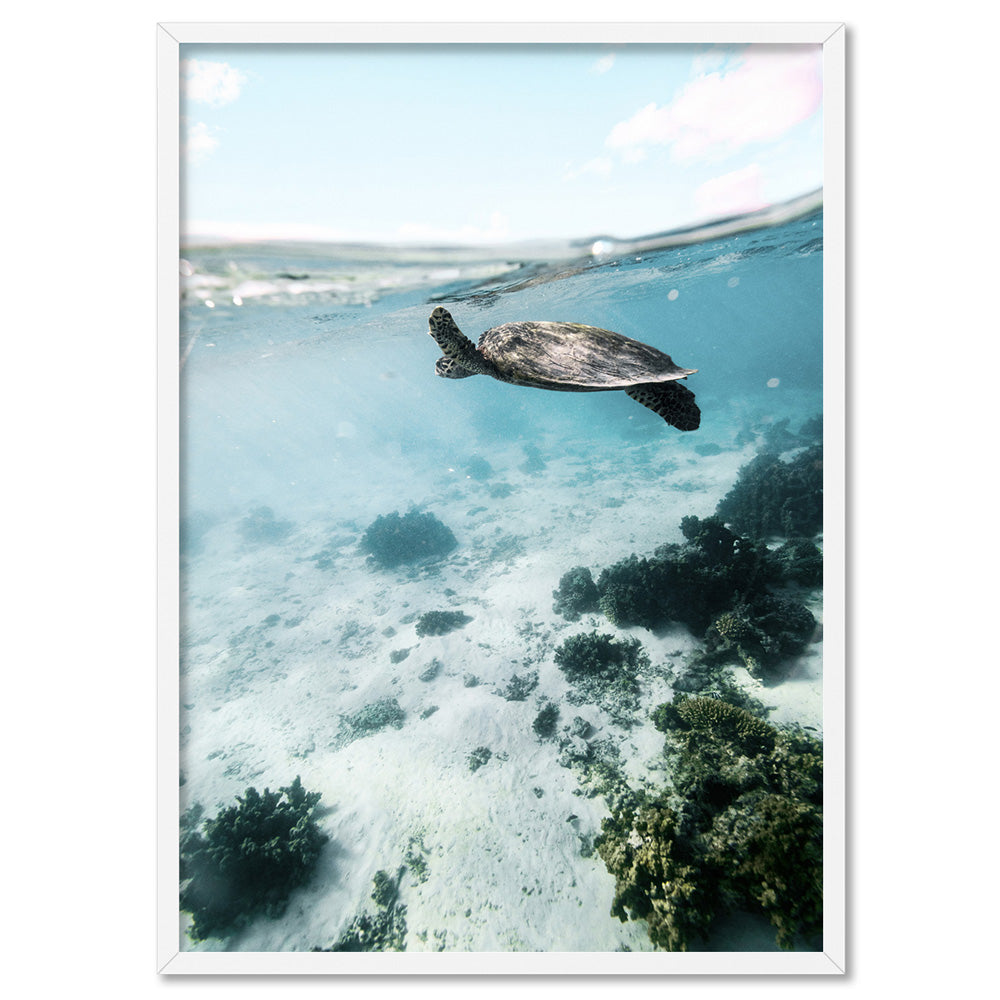 Exmouth Turtle Poster. Underwater Photography Art Print WA – Print and ...