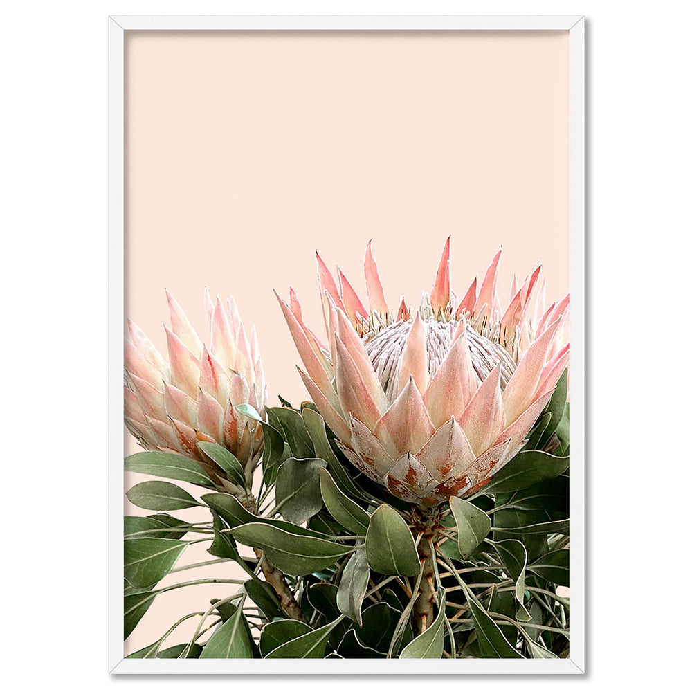 King Proteas in Blush Wall Art Print. Proteas Poster Pink – Print and ...