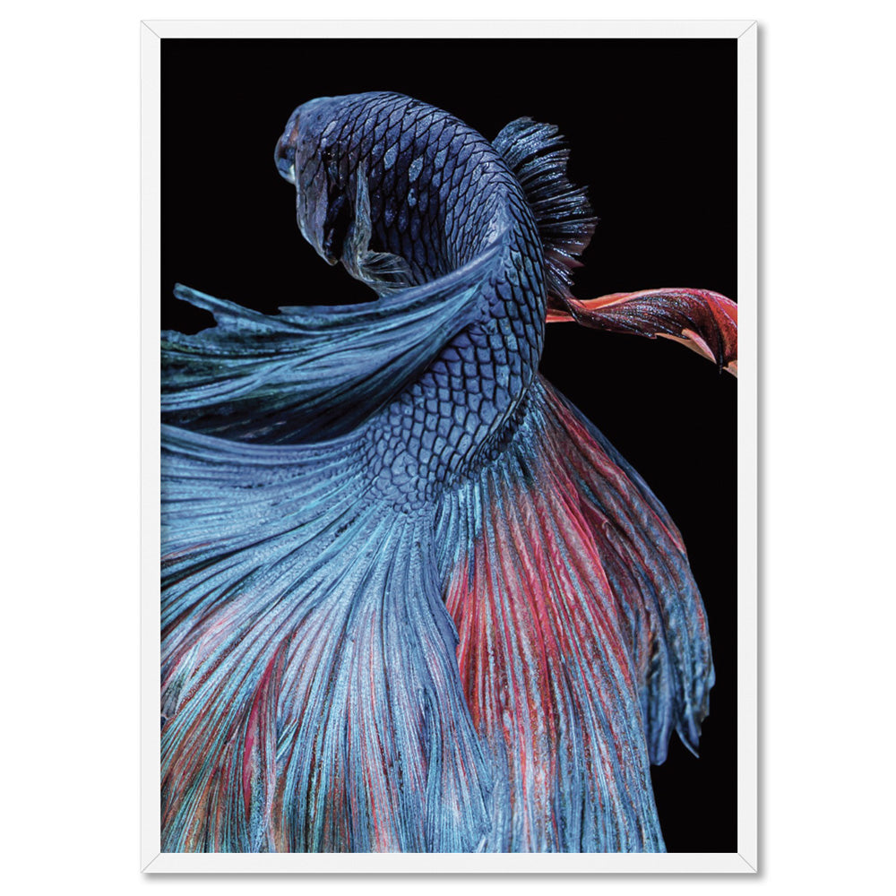 Fighting Fish Wall Art. Japanese Betta. Contemporary Poster – Print and ...