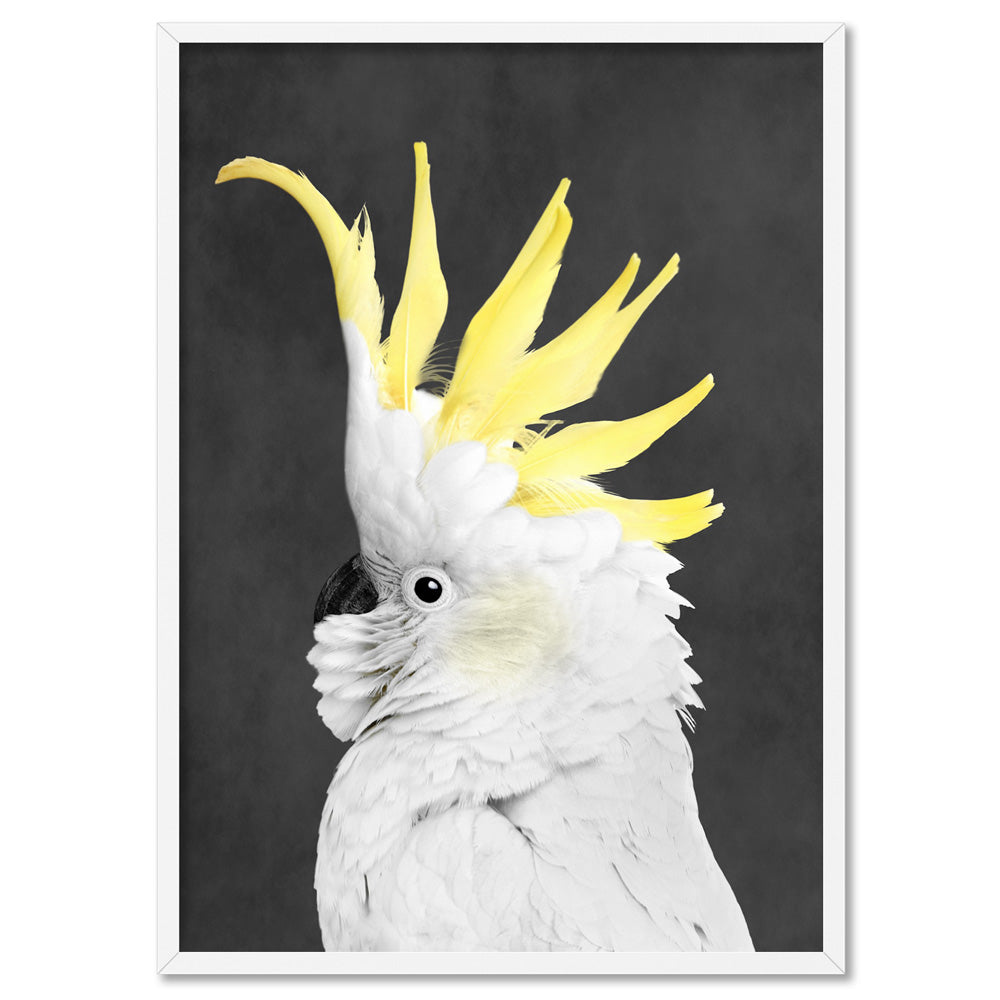 Cockatoo Wall Art Print. Native Australian Bird Poster – Print and Proper®