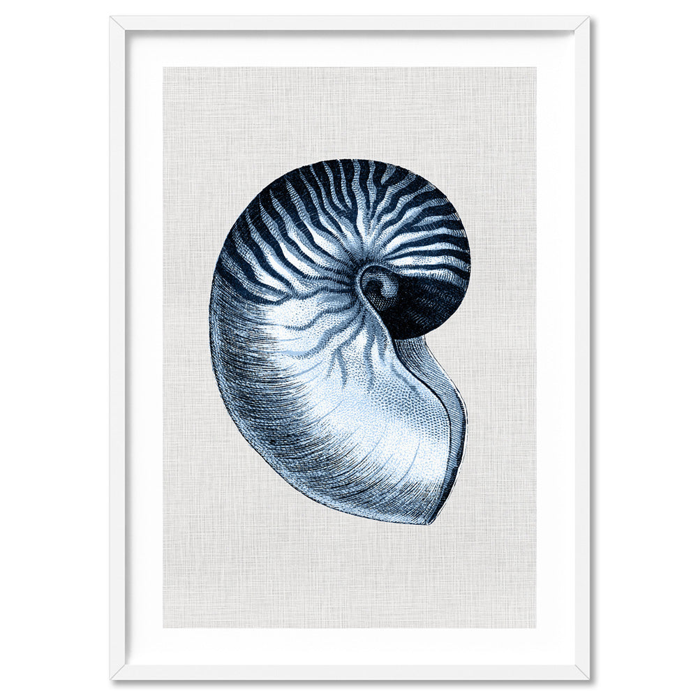 Hamptons Nautilus Shell Wall Art Print. Coastal Art Poster – Print and ...