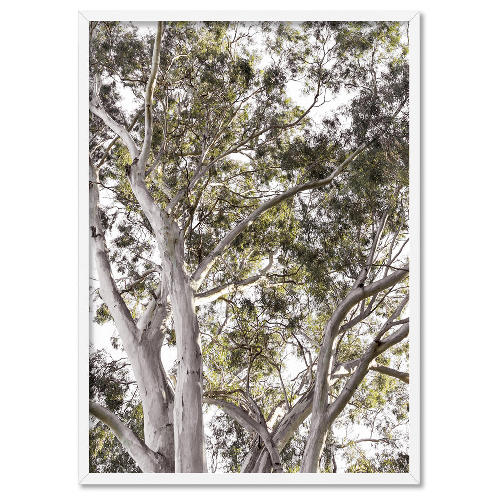 Australian Gumtree Wall Art Print. Eucalyptus Poster Art – Print and ...