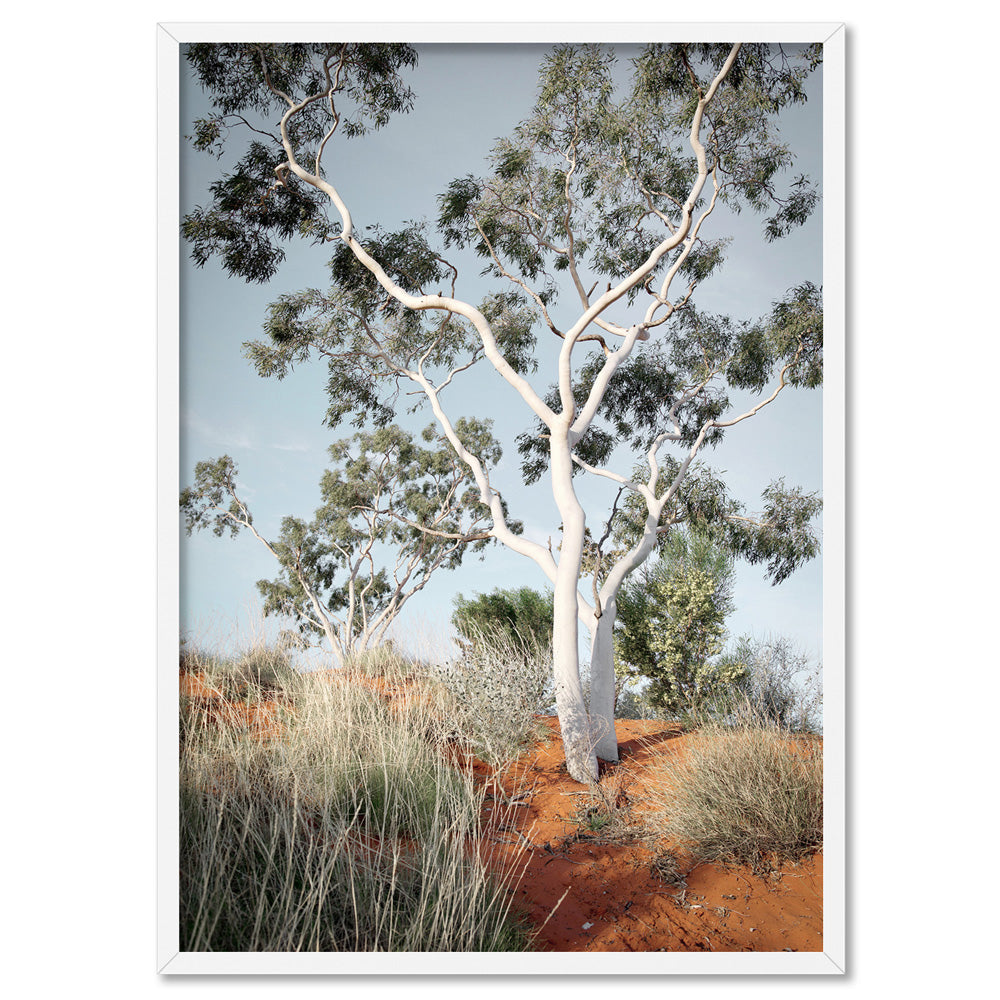 Gumtree Wall Art. Ghost Gum Eucalyptus. Australian Outback – Print and ...
