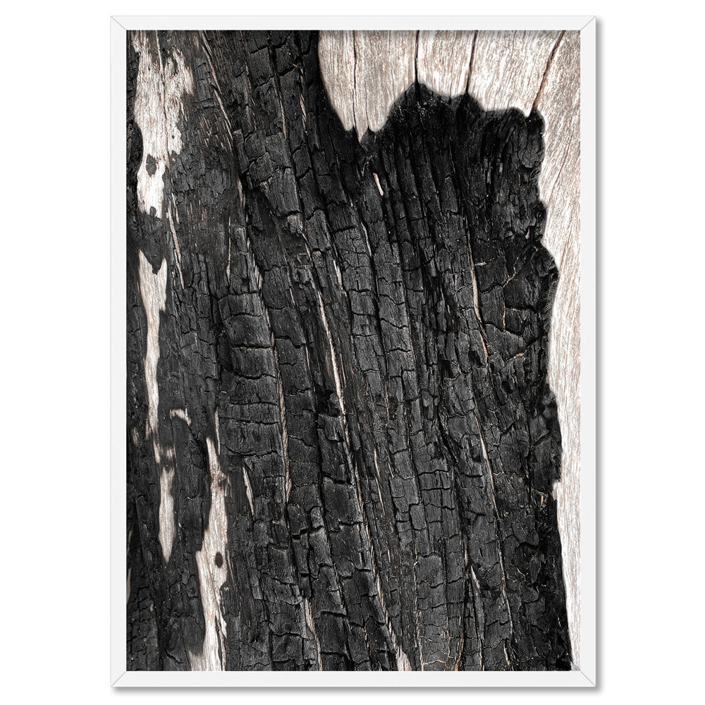 Eucalyptus Tree Bark Print. Burnt Bark Bushfire Abstract Art – Print ...