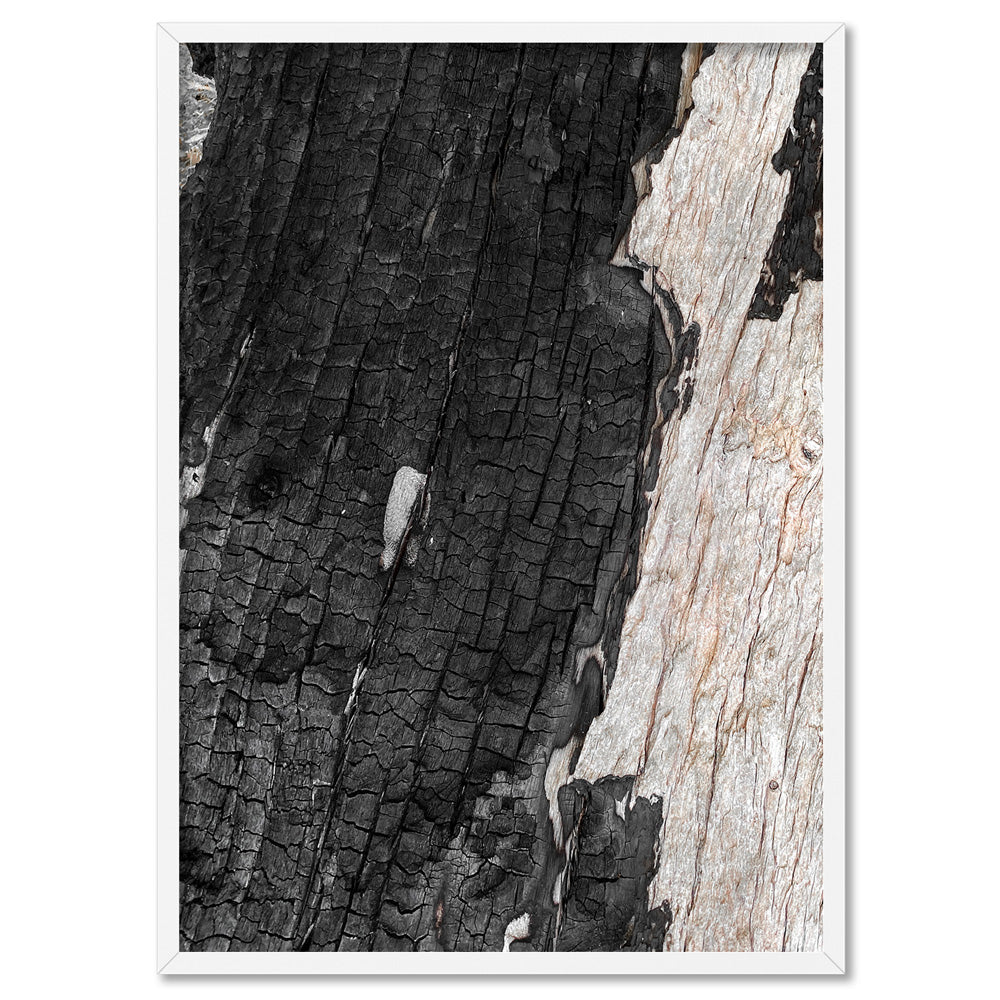 Burnt Gumtree Photography. Modern Australian Abstract Print – Print and ...