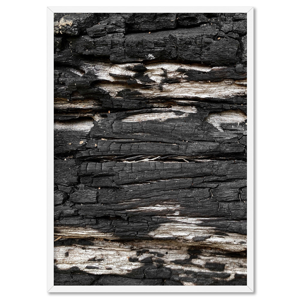 Charcoal Bark on Gumtree. Bushfire Black Trunk Macro Art – Print and ...