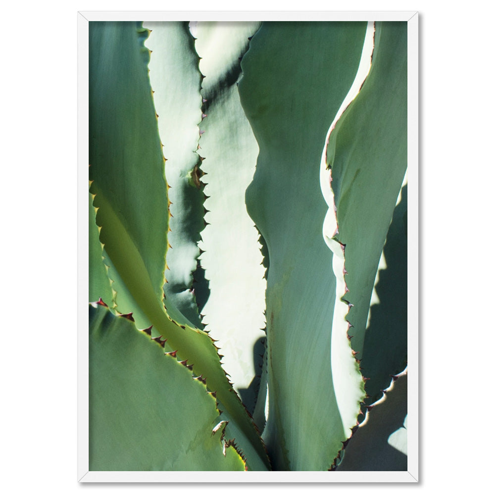 Succulent Wall Art. Agave Poster. Mexican Native decor – Print and Proper®